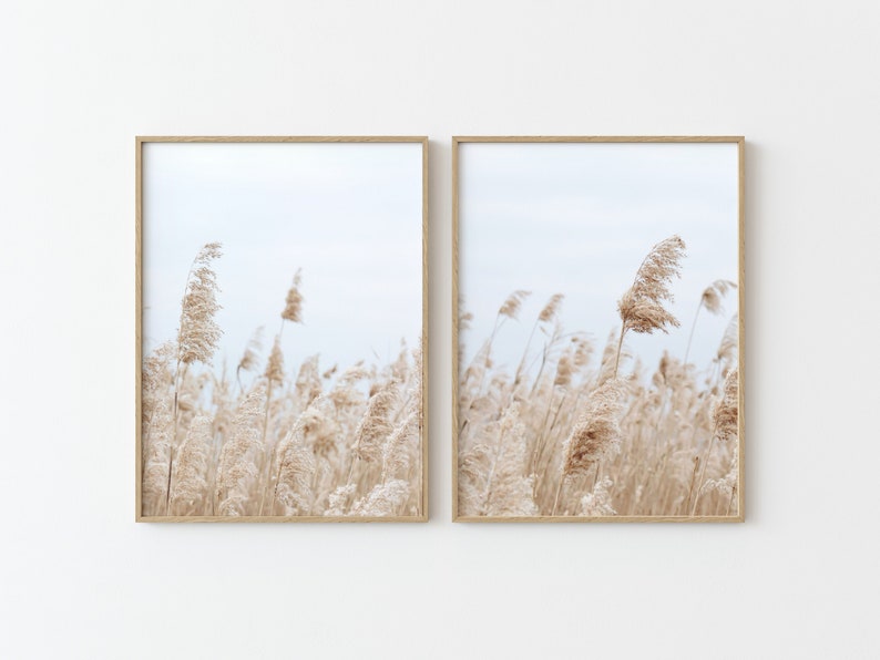 Pampas Grass Prints Set of 2 Neutral Dried Reeds Prints Boho | Etsy