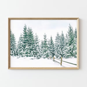 Snowy Pine Trees Prints, Winter Forest Landscape Prints Set of 4 ...