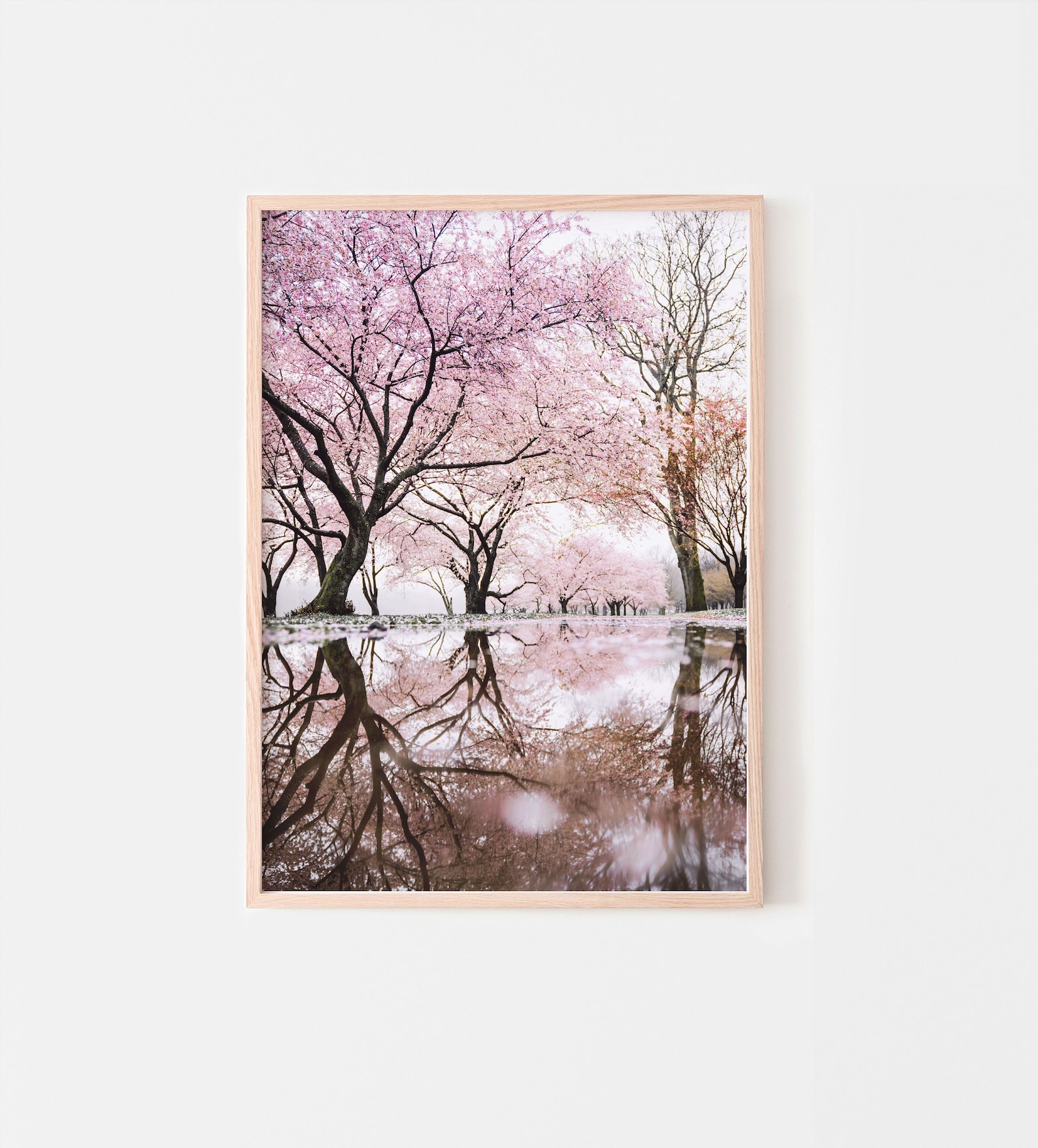 Cherry Blossom Wall Art Prints Set of 3, Spring Flowers Photography ...