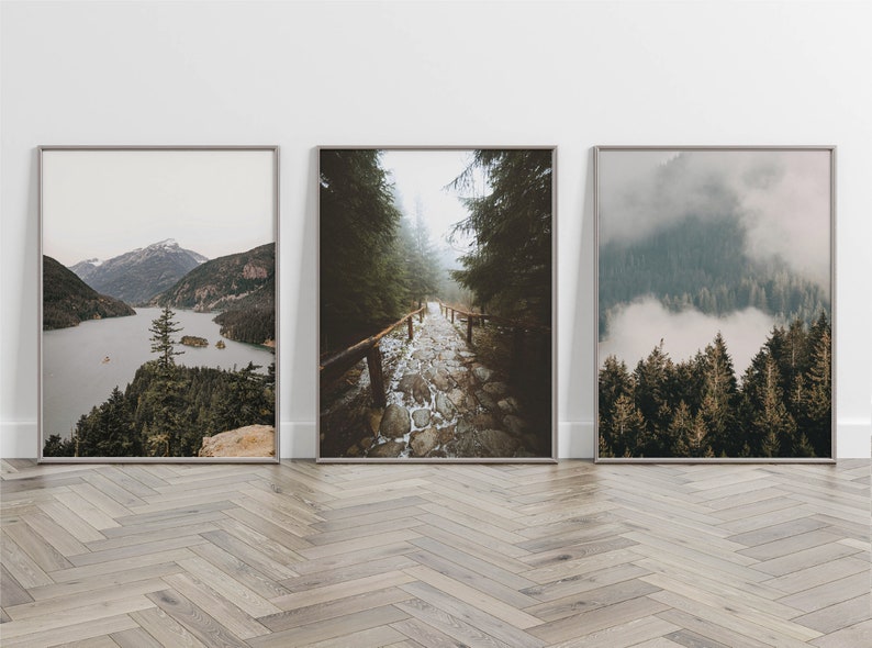 Landscape Wall Art Forest Set of 6 Prints Nature Gallery - Etsy