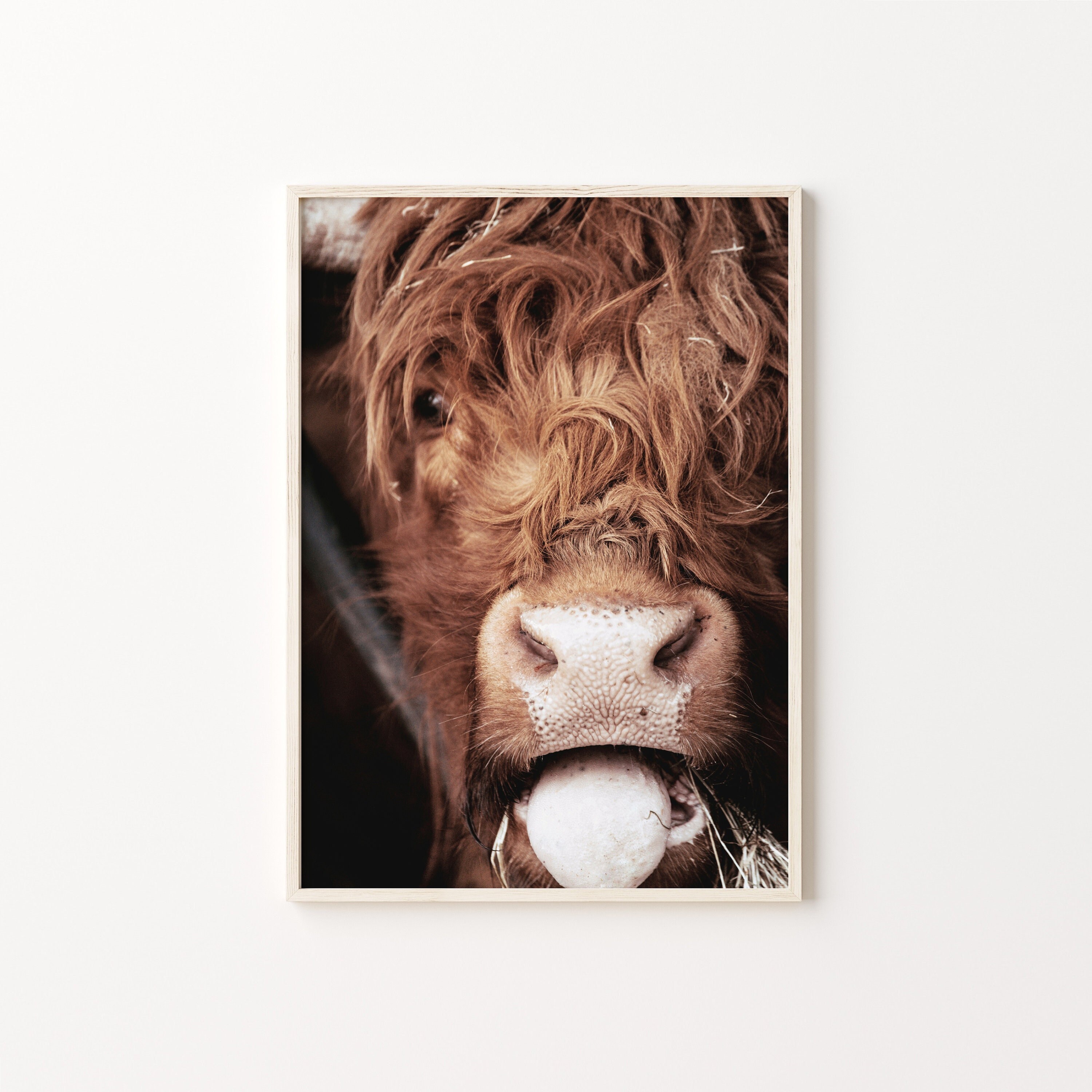 Rustic Highland Cow Print, Farm Animal Face Photography, Farmhouse ...