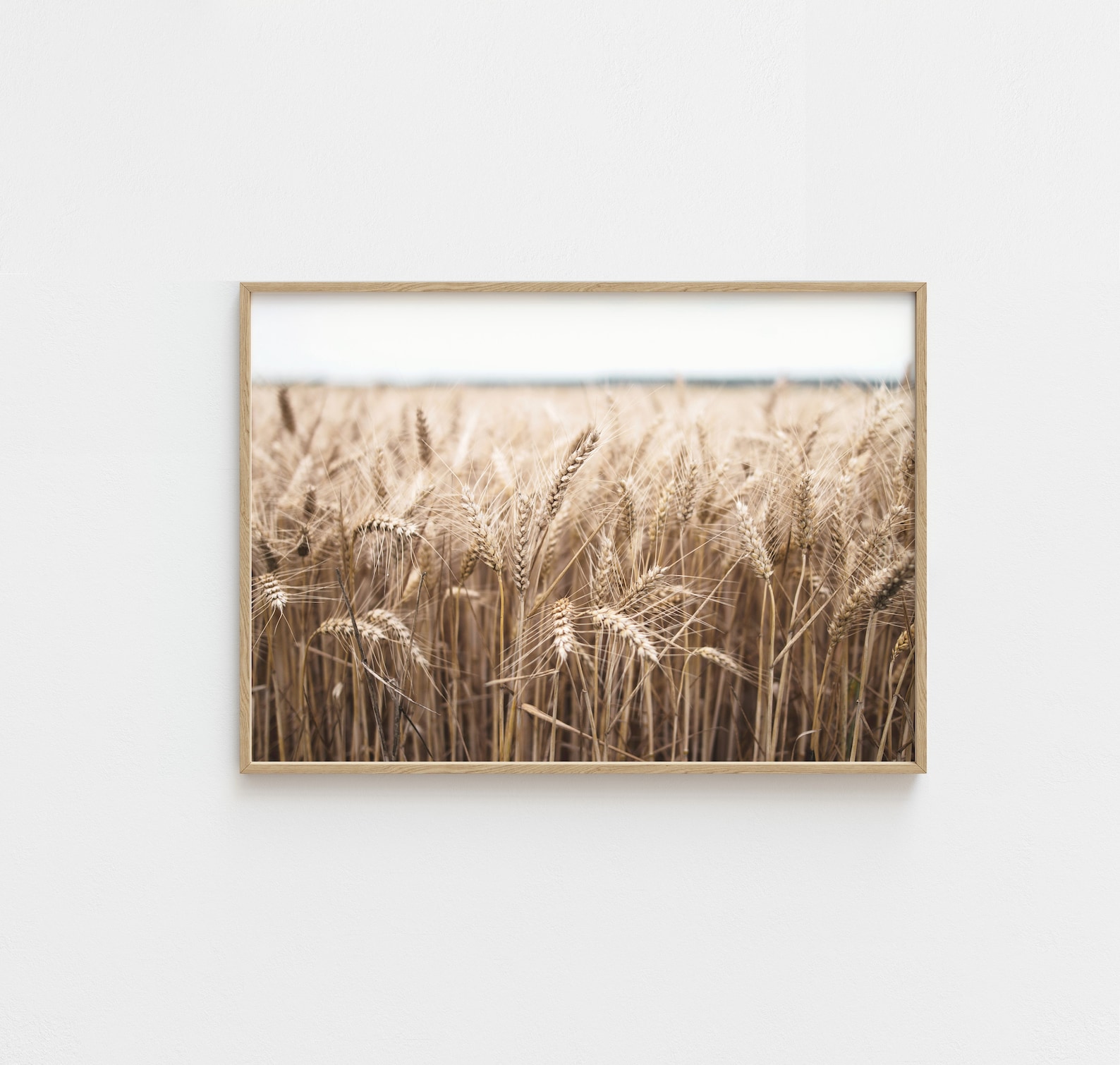 Country Gallery Wall Set of 6 Prints, Highland Cow Prints Set, Rustic ...