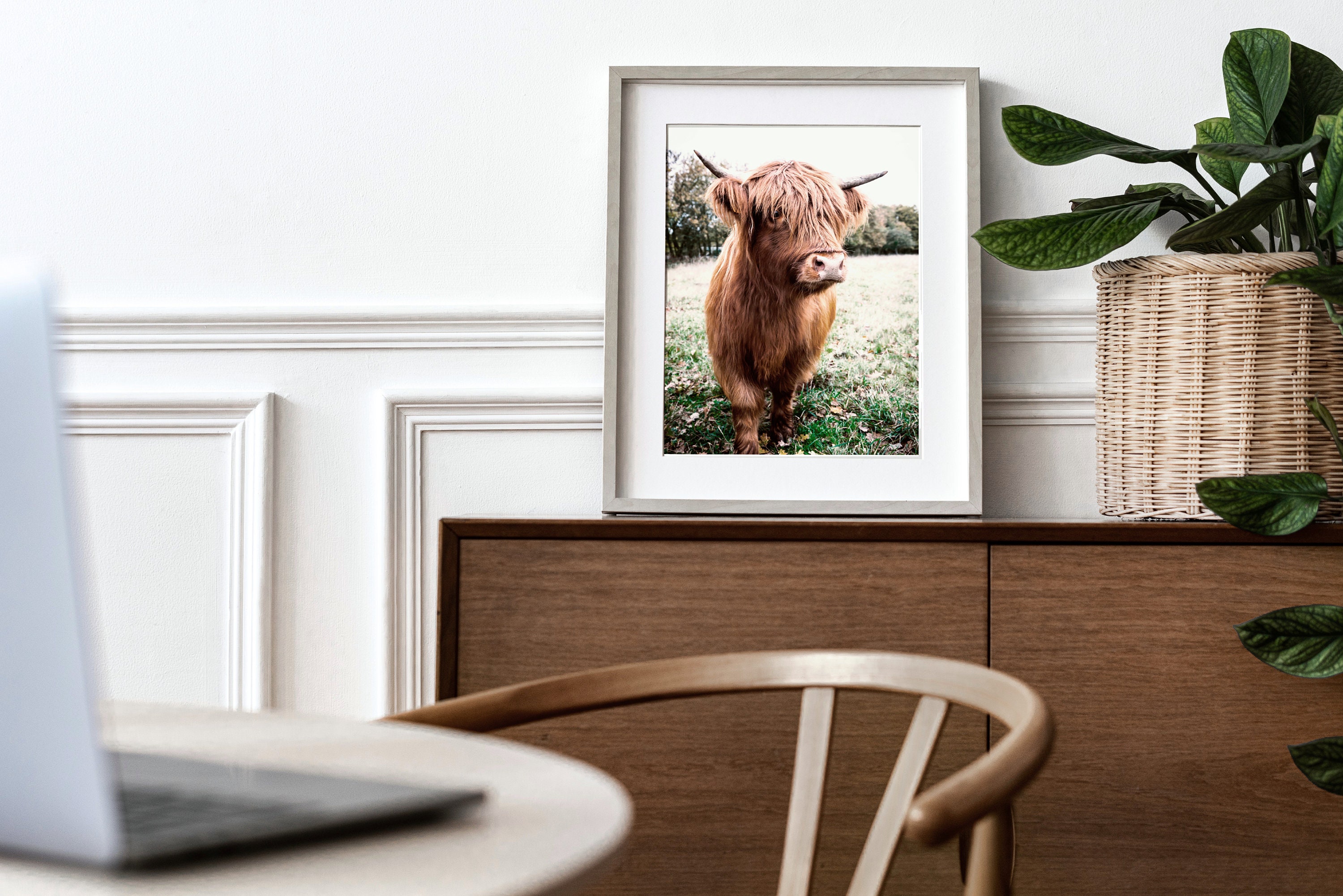Highland Cow Print, Highland Cow Poster for Download, Rustic Cow Photo ...