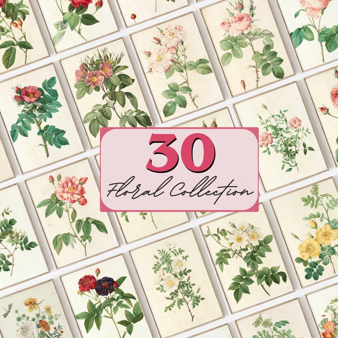 30 Vintage Flower Digital Prints, Red Pink Roses Gallery, English ...