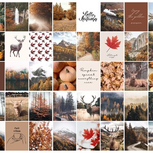 100 Autumn \ Fall Gallery Wall Art Prints, Fall Photography Bundle ...