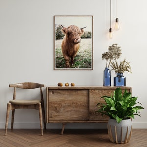Highland Cow Print, Highland Cow Poster for Download, Rustic Cow Photo ...
