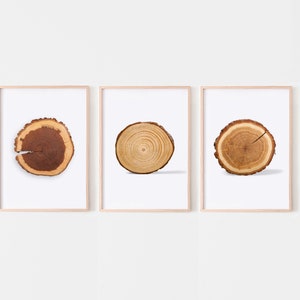 Tree Rings Wall Art, Set of 3 Prints, Digital Files, Tree Log Slice ...