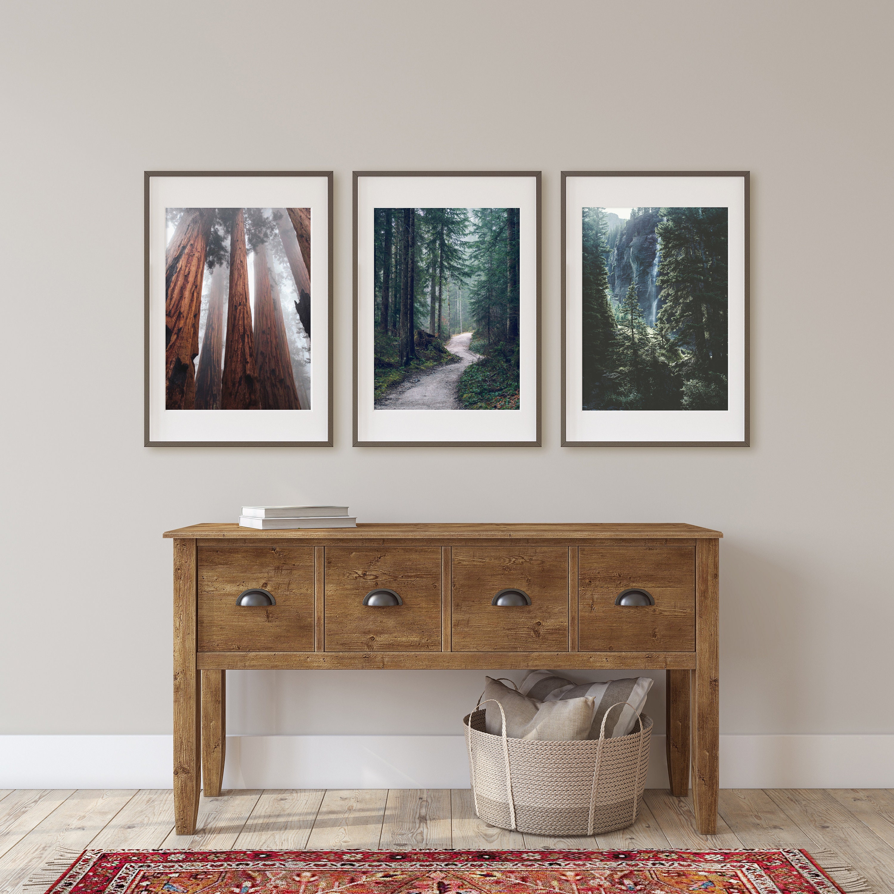 Redwood Forest Prints Set of 3 Forest Nature Photography | Etsy