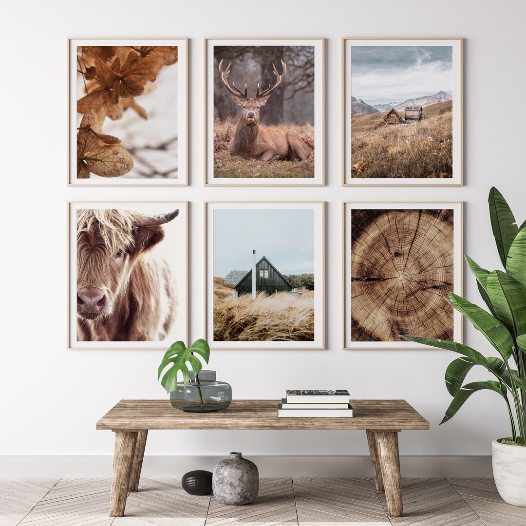 Farm Nature Prints, Rustic Gallery Set of 6 Prints, Farmhouse Highland ...