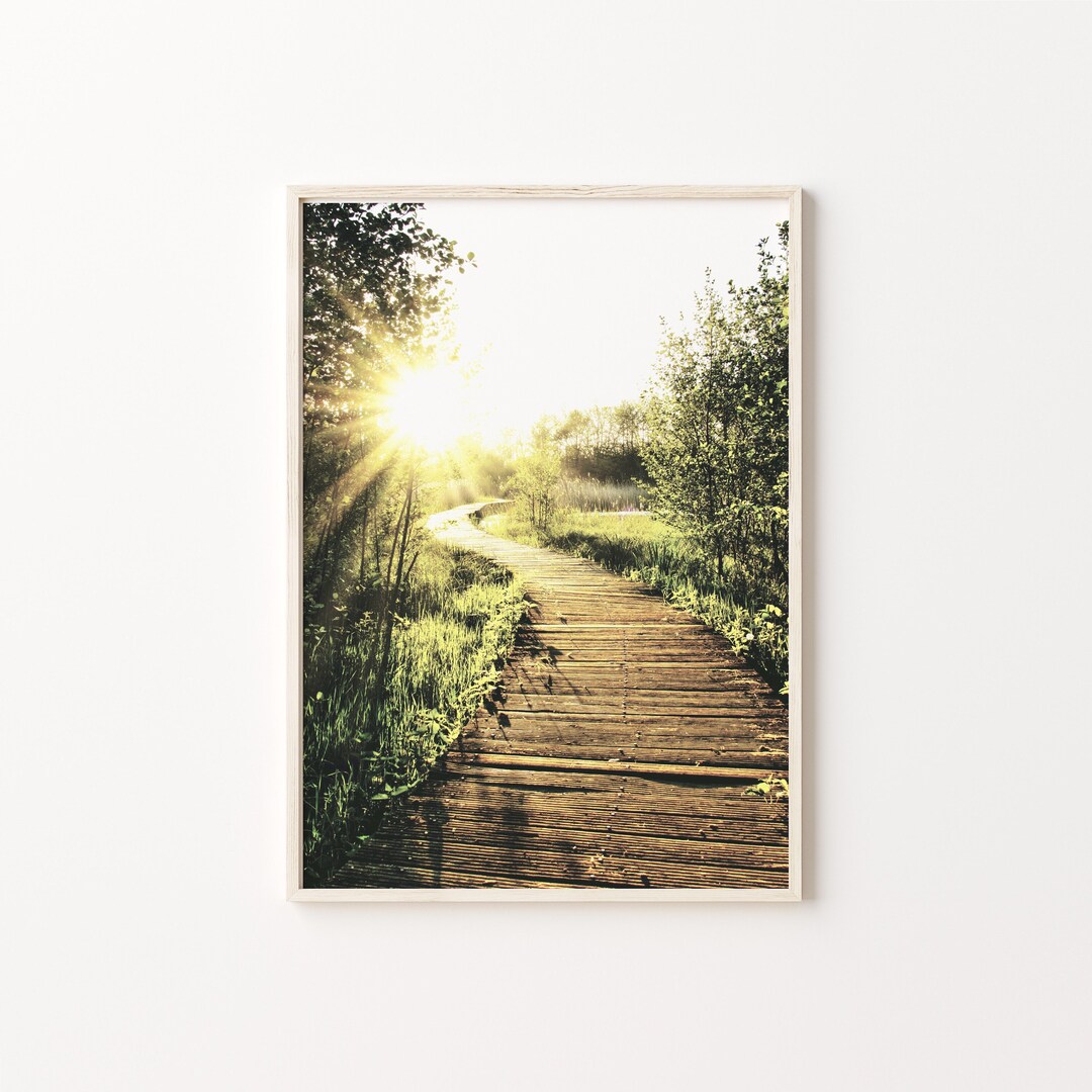 Forest Pathway Print, Sunset Nature Photography, Green Landscape ...