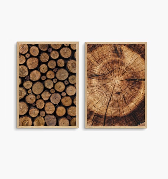 Tree Ring Wall Art Wood Log Art Tree Ring Print Set of 2 | Etsy