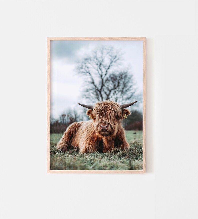 Art & Collectibles highland cow posters lake nature prints nordic ...