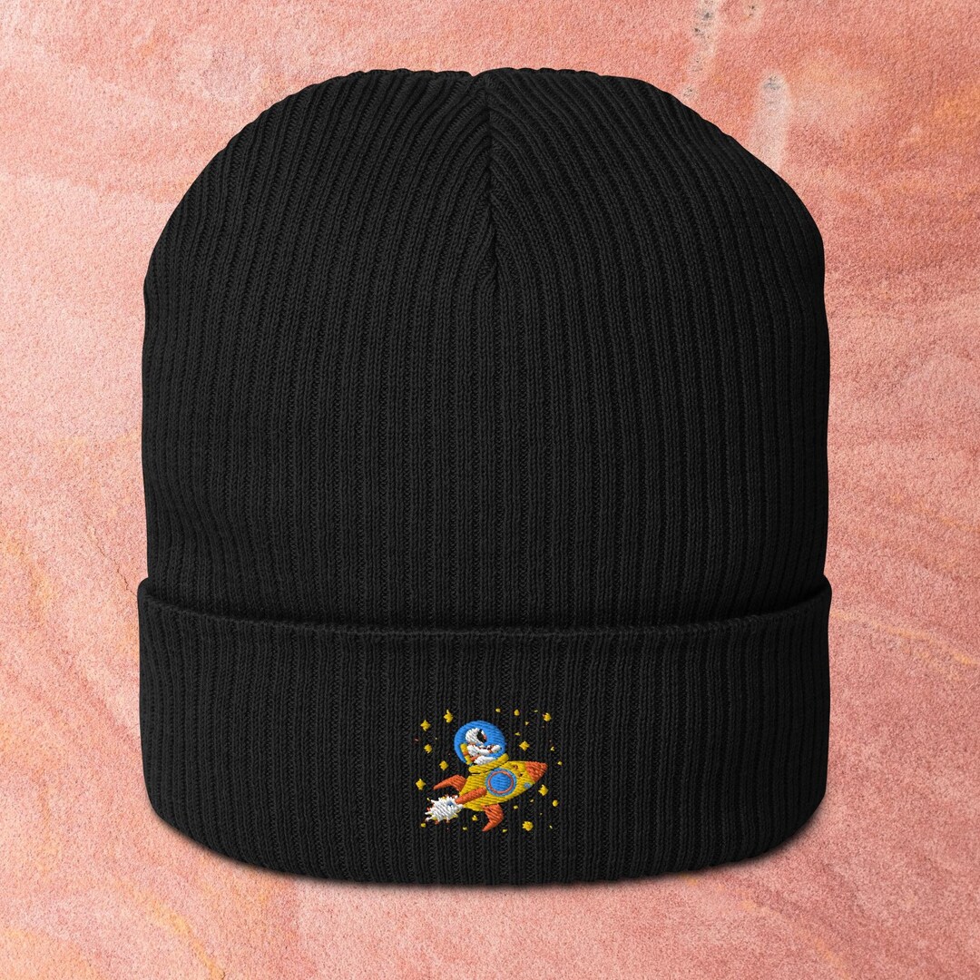 Astronaut Riding in Spaceship Embroidered Organic Ribbed Beanie - Etsy
