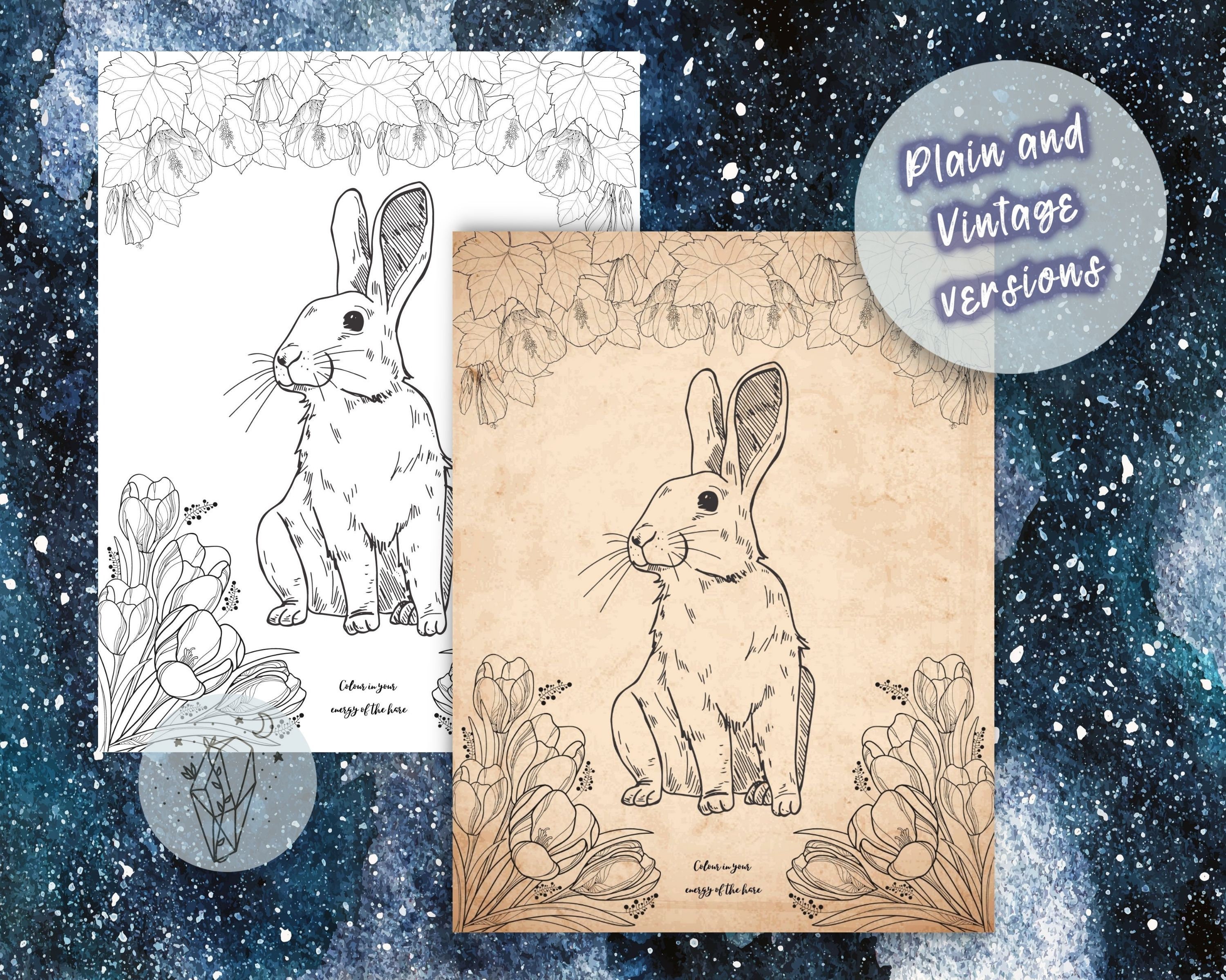 Ostara Book of Shadows, Printable Grimoire Pages. BOS Pages, Download ...