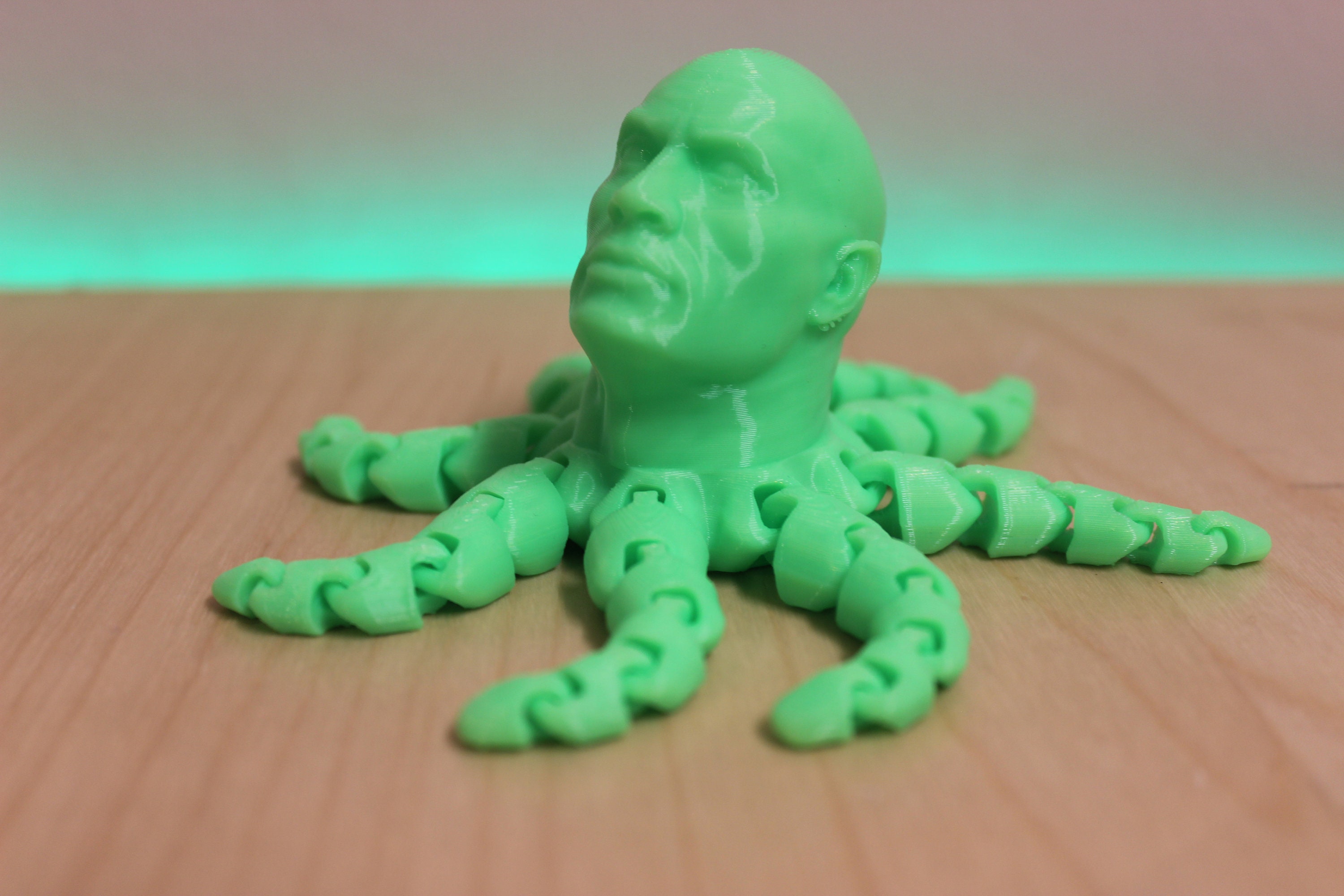 Rocktopus 3D Printed Fidget Toy the Rock Octopus Articulated Toy Custom ...