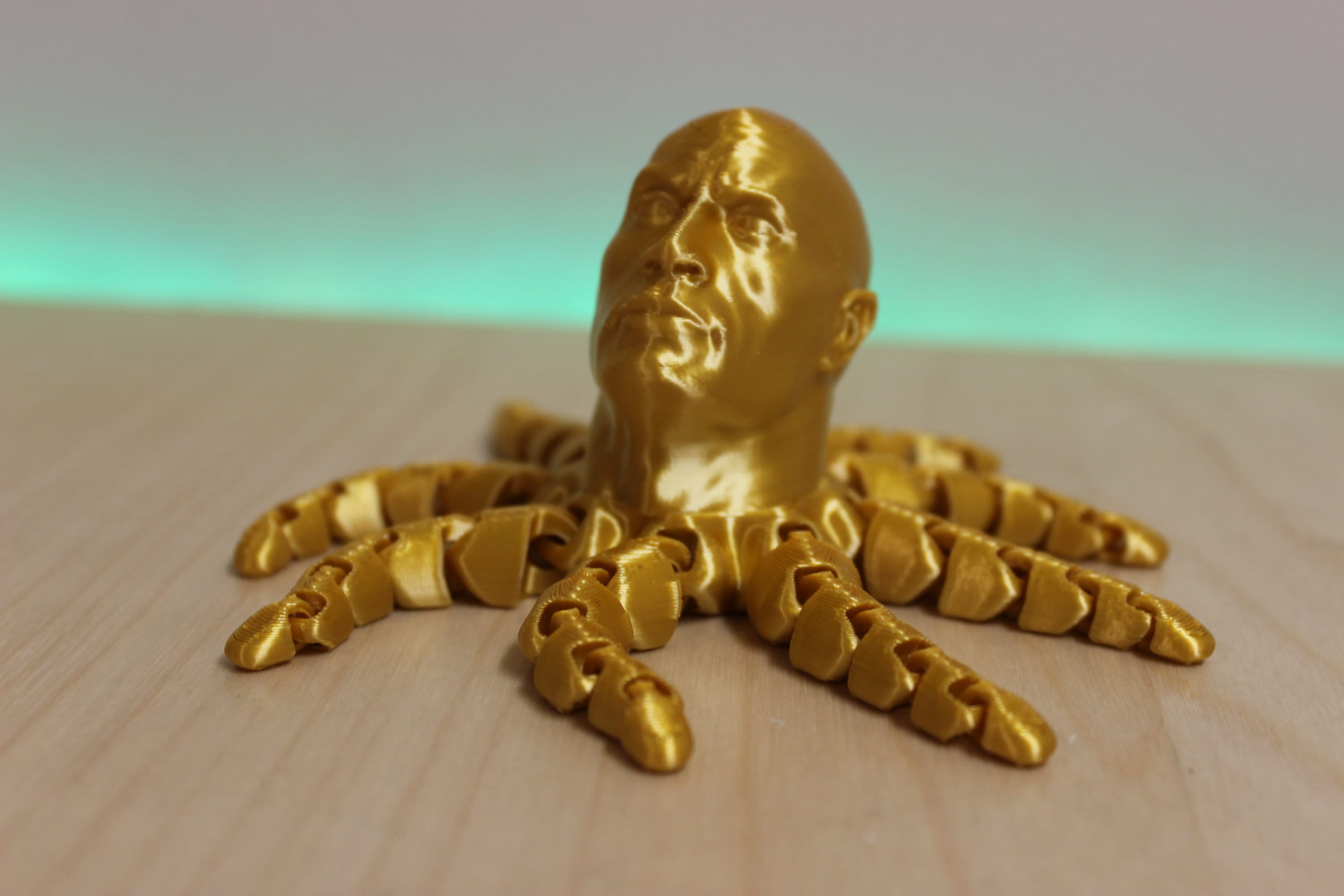 Rocktopus 3D Printed Fidget Toy the Rock Octopus Articulated Toy Custom ...