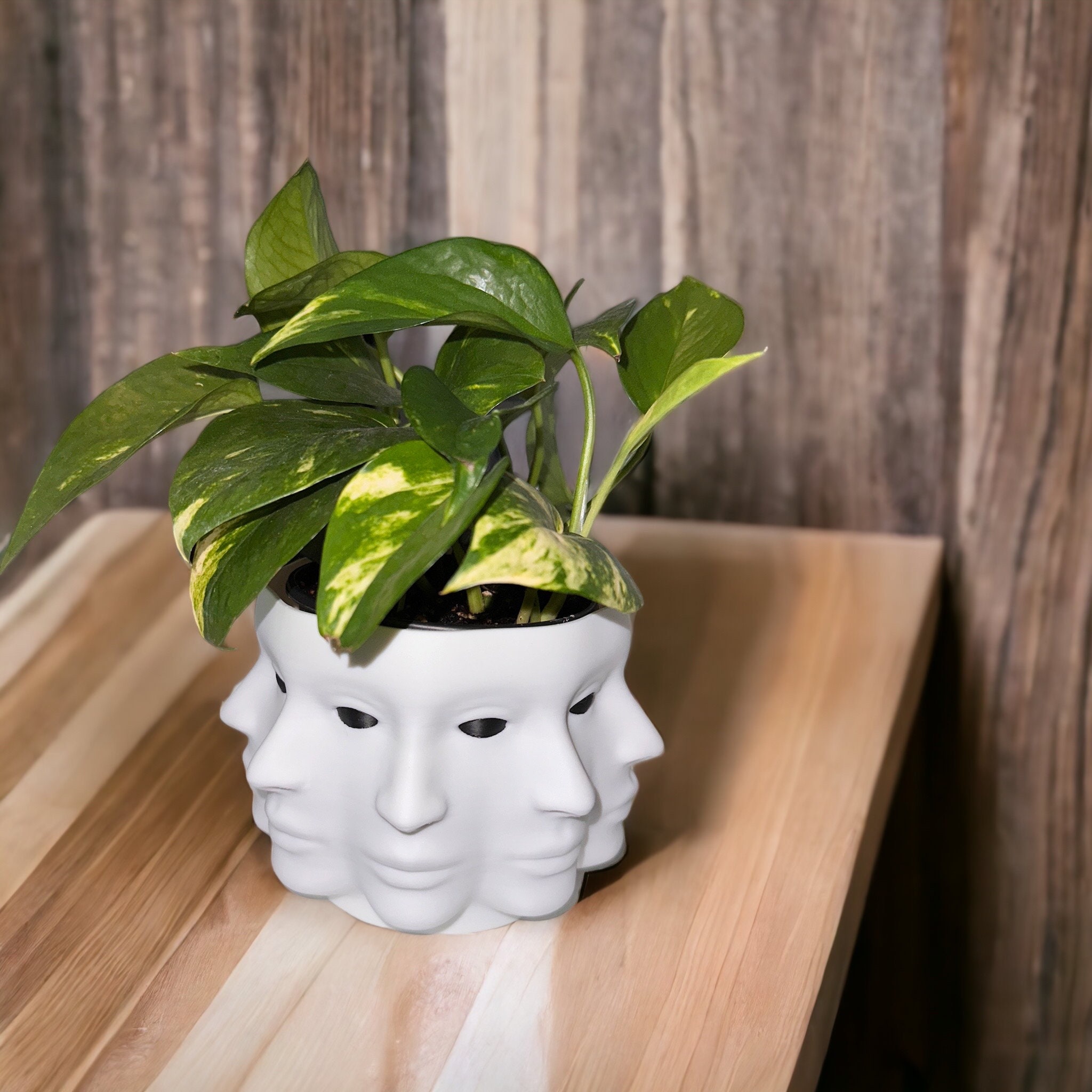 Face Planter Multi-color 3D Printed Bohemian Home Decor Many Colors ...