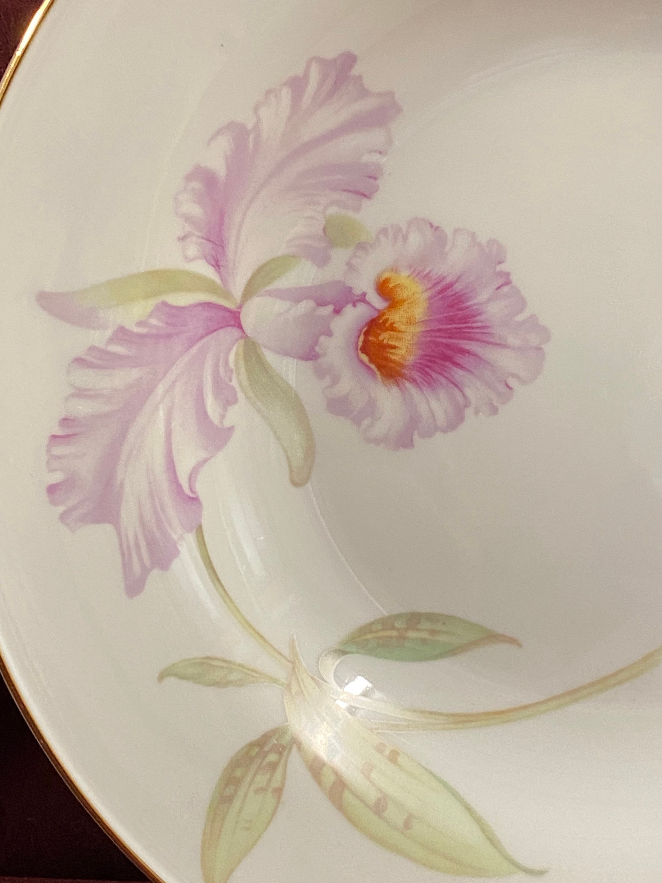 Vintage Set of 8 Tirschenreuth's Pasco Orchid Pattern | Etsy