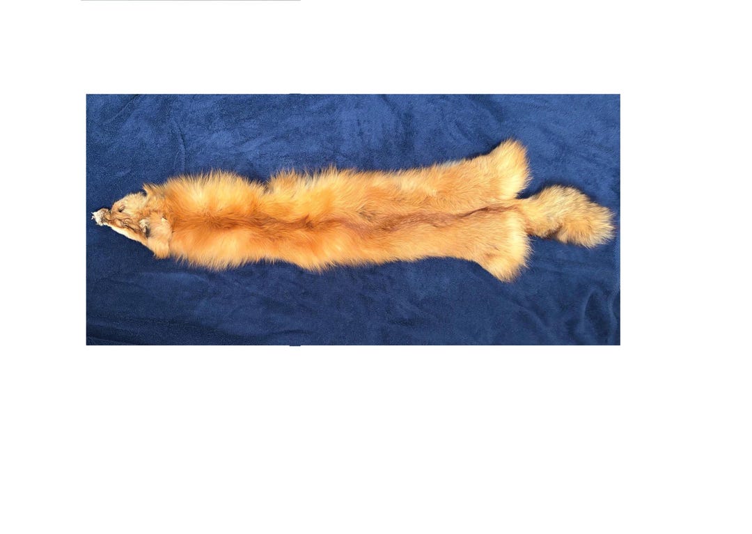 Red Fox Pelt, Tanned Hide, Fur, Gorgeous and Soft Texture, Vibrant ...