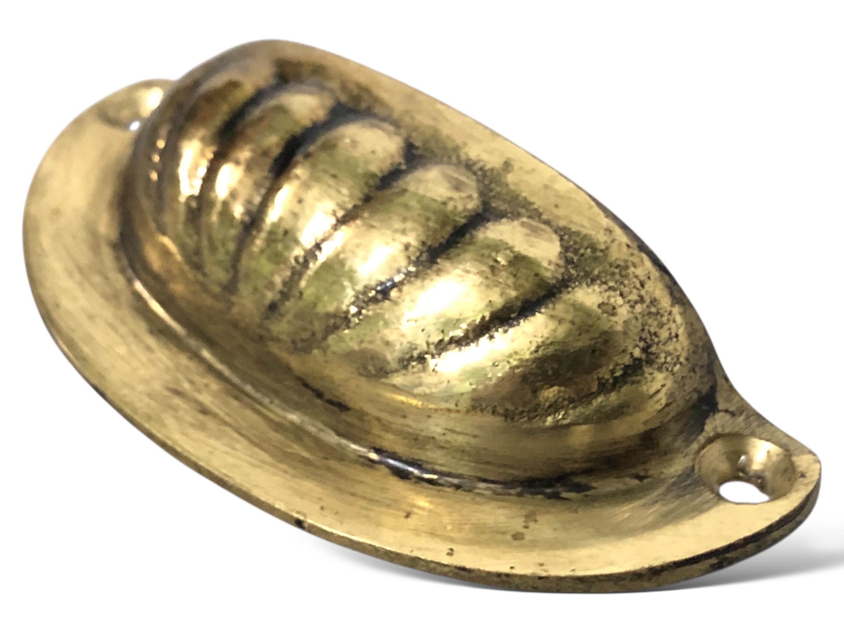 Cabinet - Drawer Brass Shell Cup Pull - Etsy