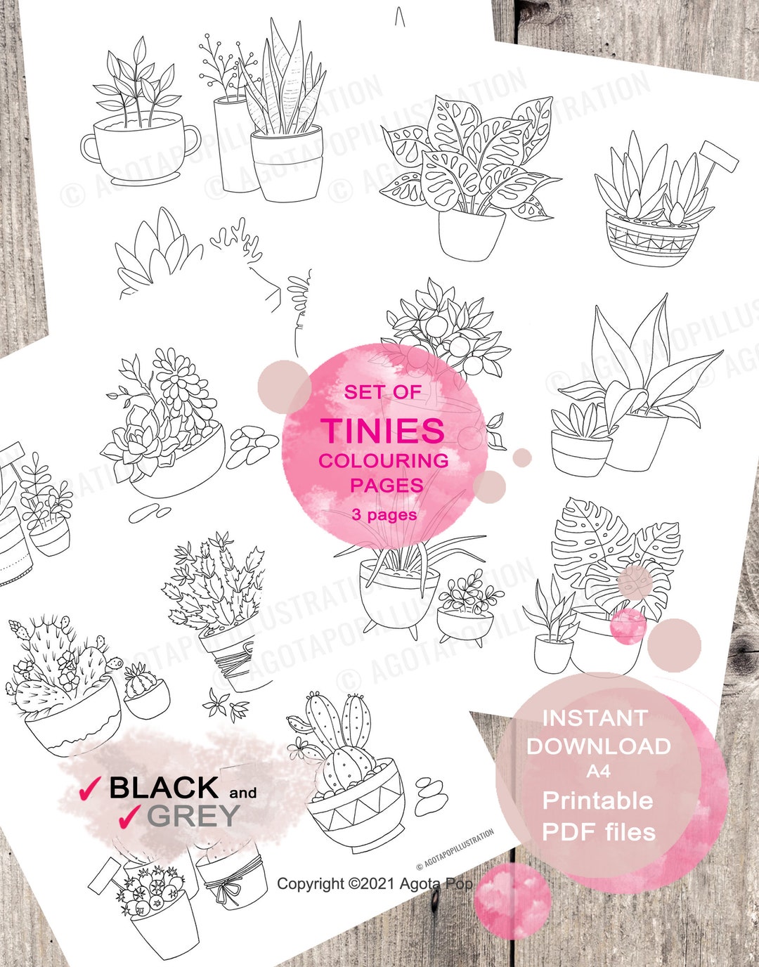 Potted Plants Coloring Pages: Succulents, Cacti (printable PDF) - Etsy