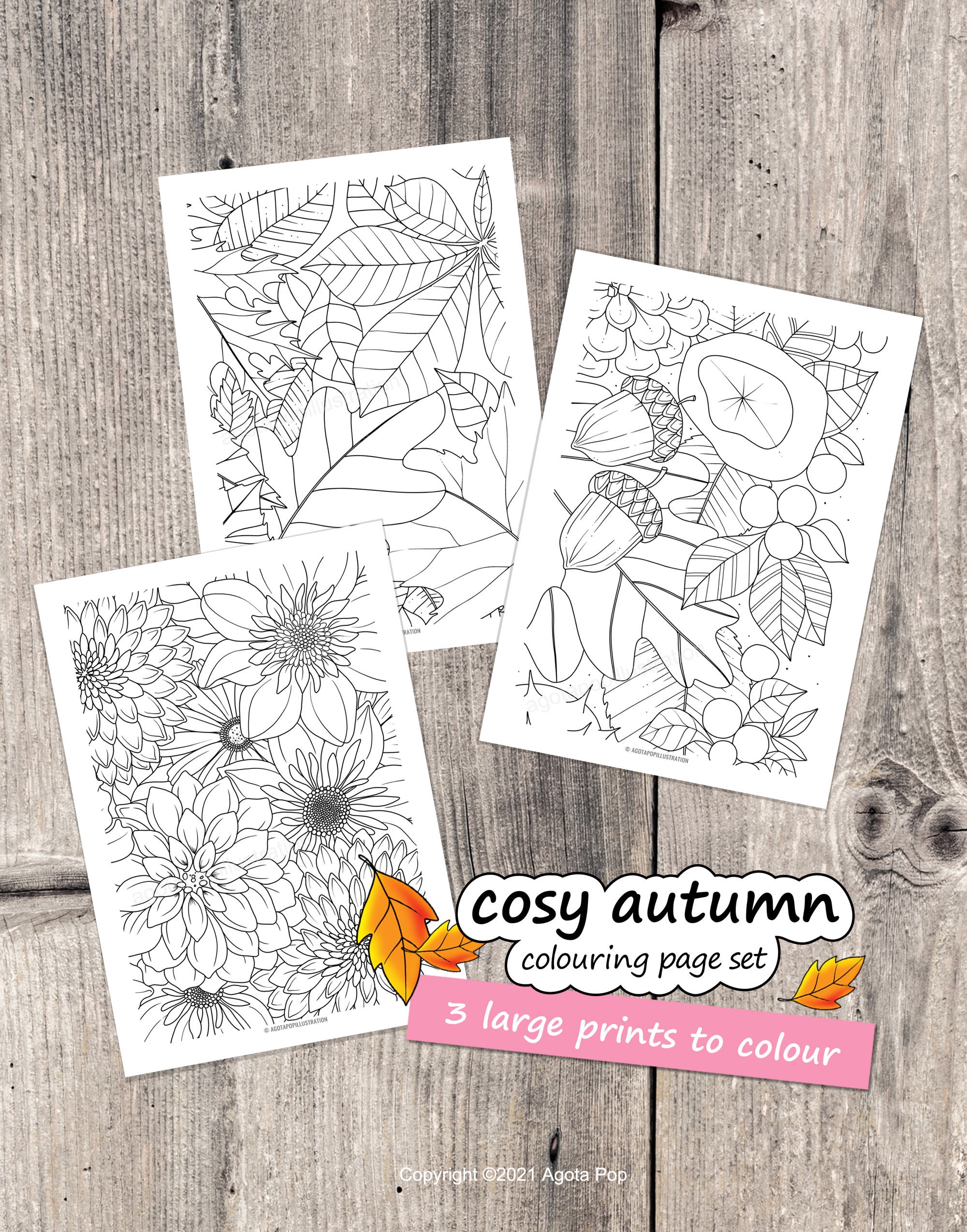 Cosy Autumn Colouring Page Set for Adults. TINIES INCLUDED. Printable ...