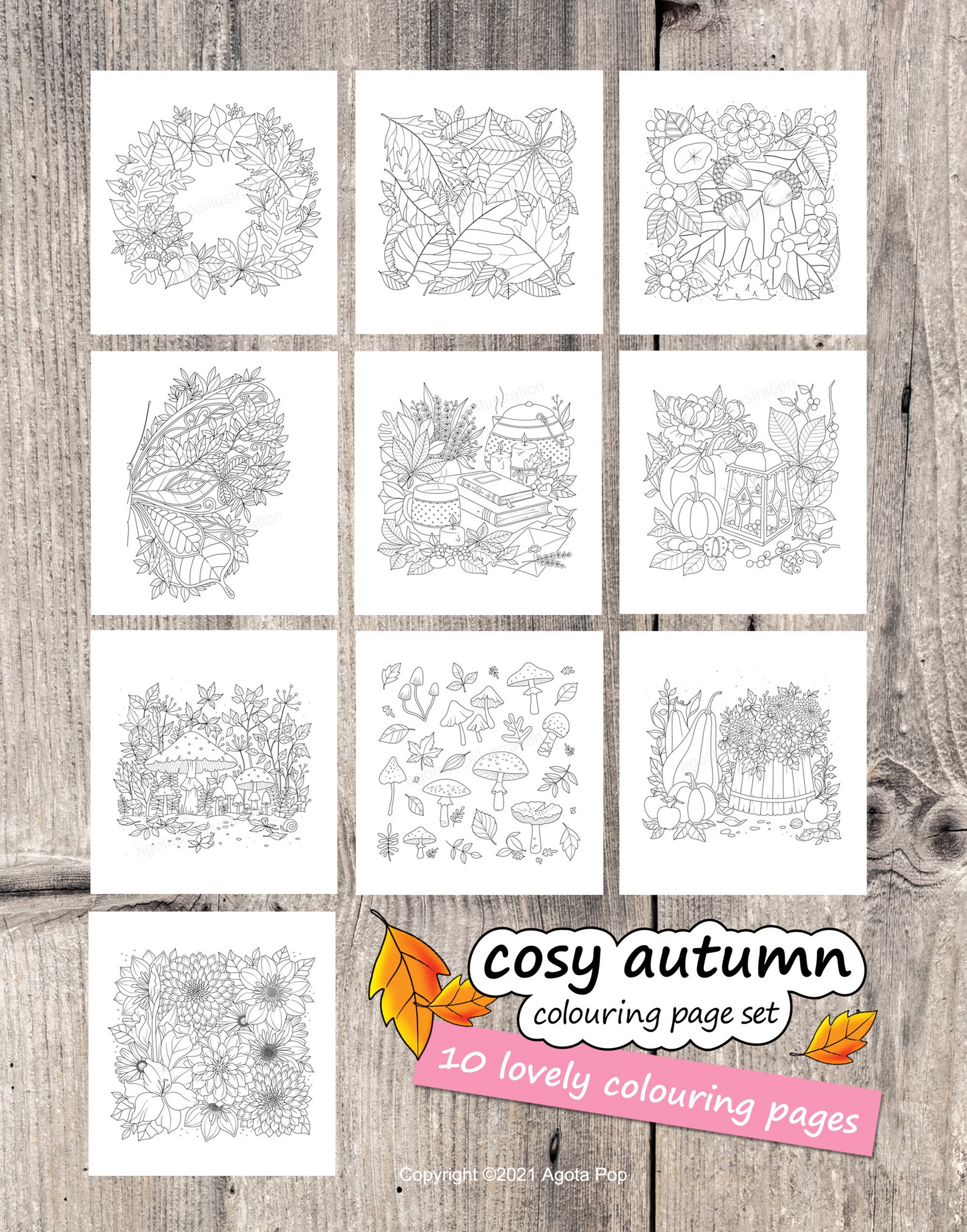 Cosy Autumn Colouring Page Set for Adults. TINIES INCLUDED. Printable ...