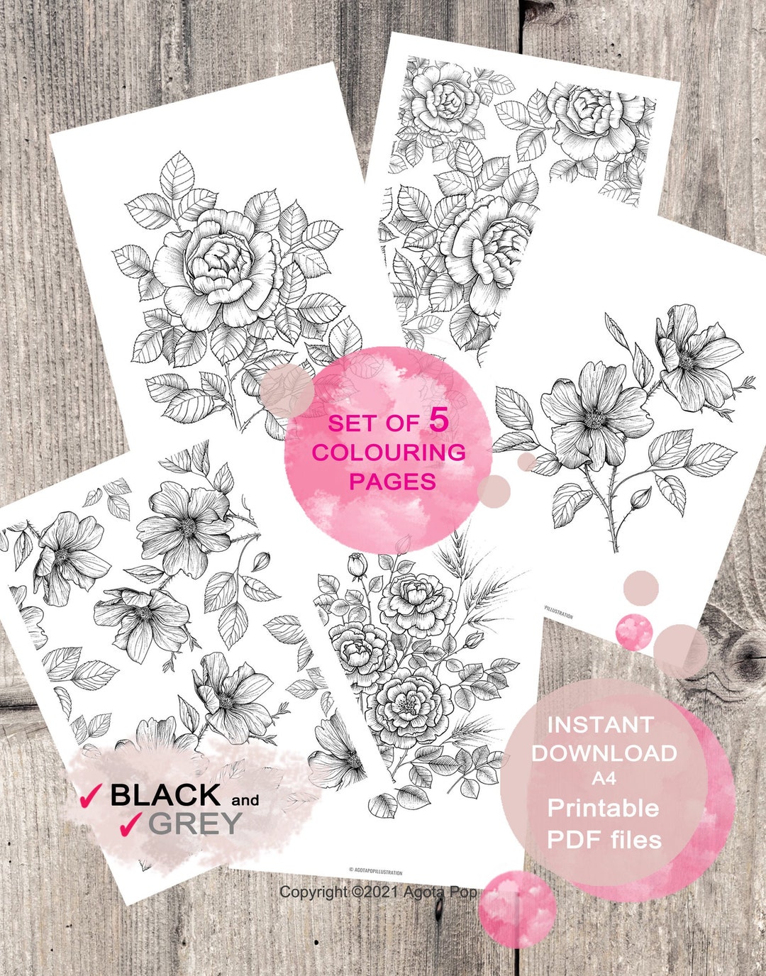 Roses Colouring Pages for Adults. Set of 5 Hand-drawn Illustrations ...