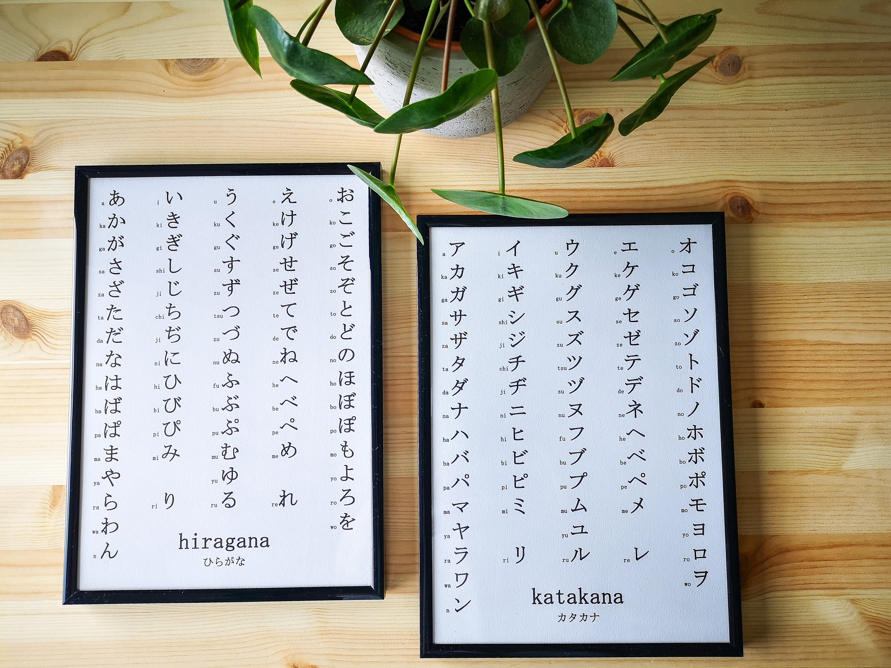 Hiragana and Katakana Chart Print. Japanese Chart. Japanese | Etsy