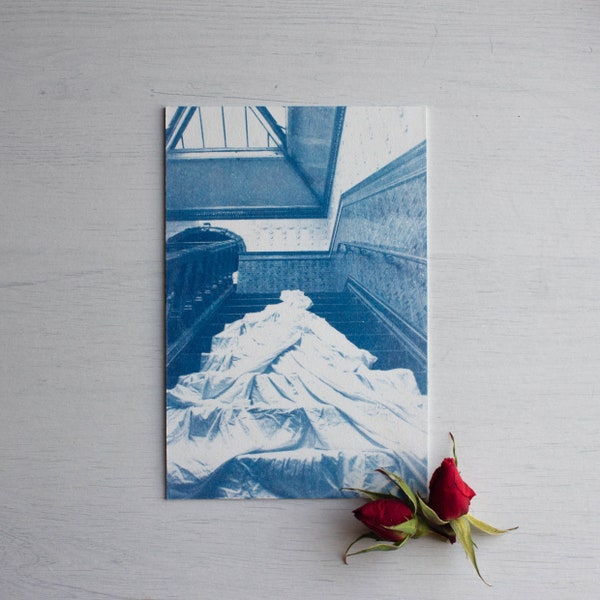 Cyanotype Kit - Etsy UK