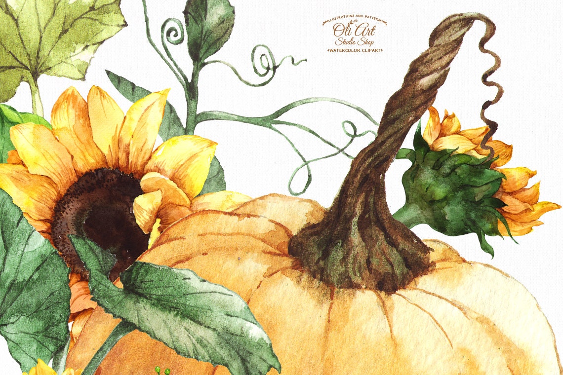 Sunflowers and pumpkins clip art. Autumn digital clipart. | Etsy
