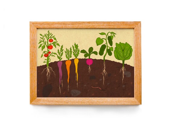 Vegetable Garden Art