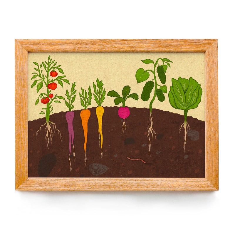Vegetable Art - Etsy