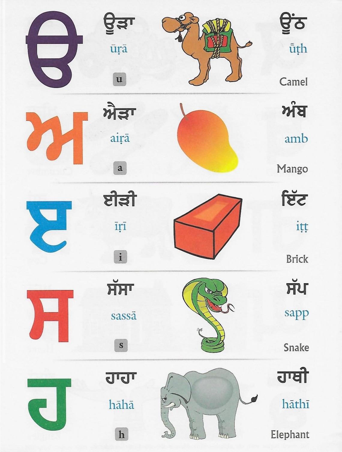 Gurmukhi Alphabet Book - Etsy