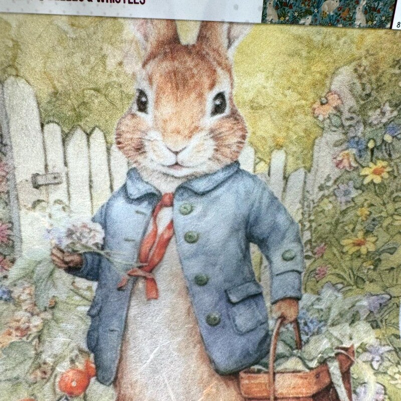 Peter Rabbit Tags - Etsy