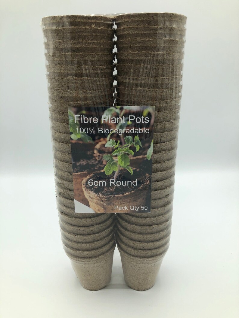 50 Biodegradable Plant Pots - Etsy
