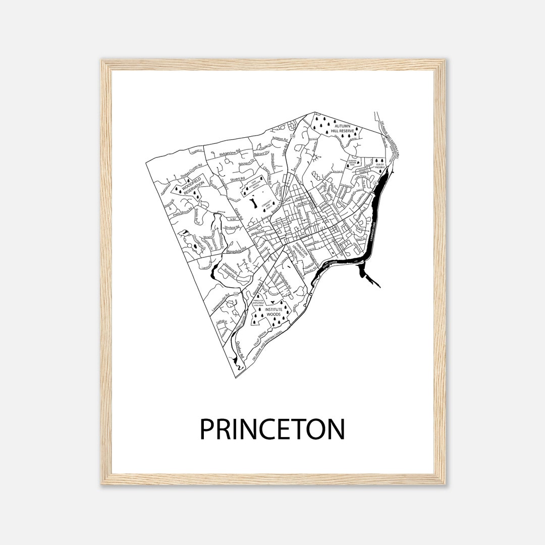 Princeton New Jersey Map Print, College Poster Wall Art, Princeton ...