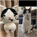 Custom Cat Plush, Custom Crochet Cat, Cat Stuffed Animal, Cat ...