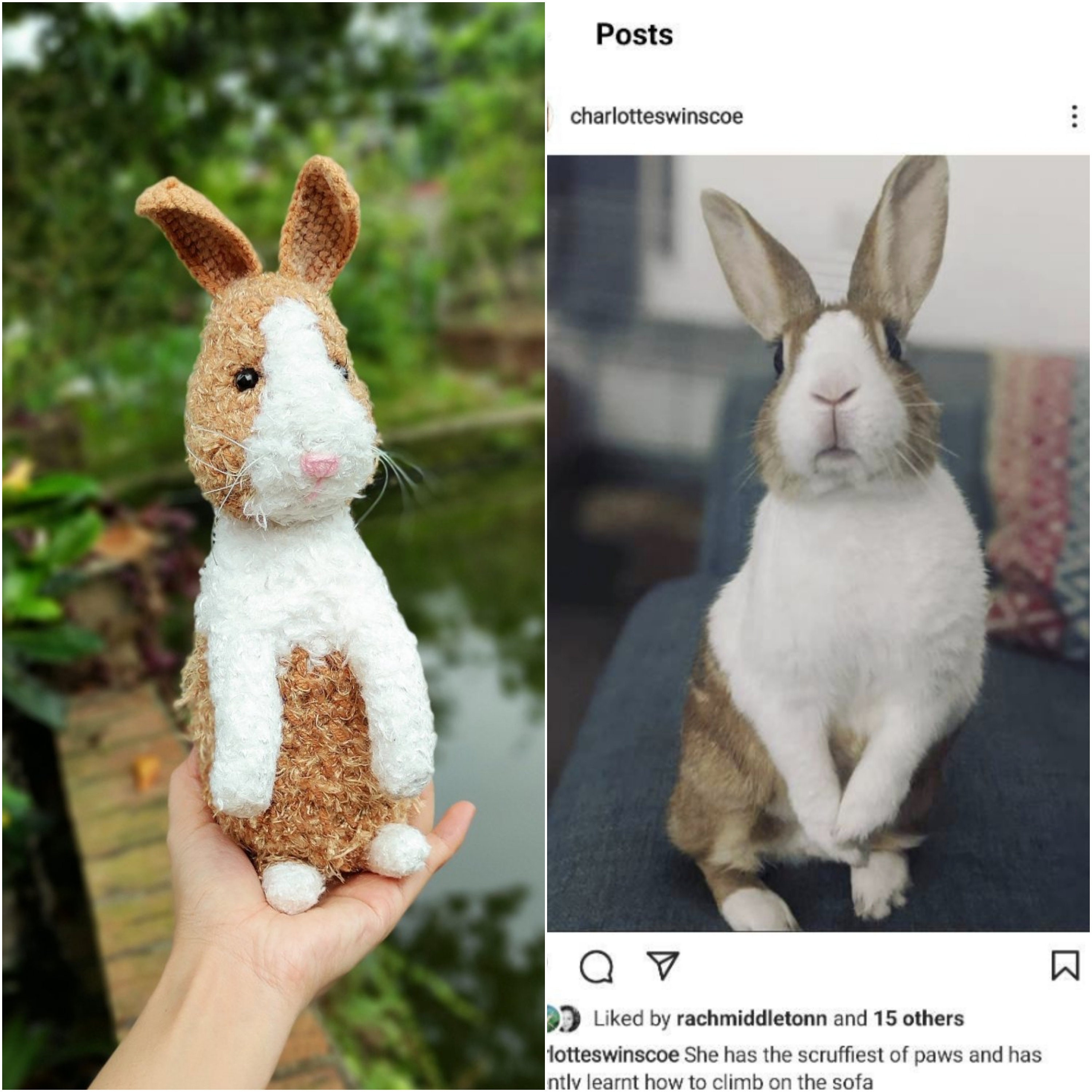Custom Stuffed Animal Custom Pet Plush Custom Rabbit Plush - Etsy