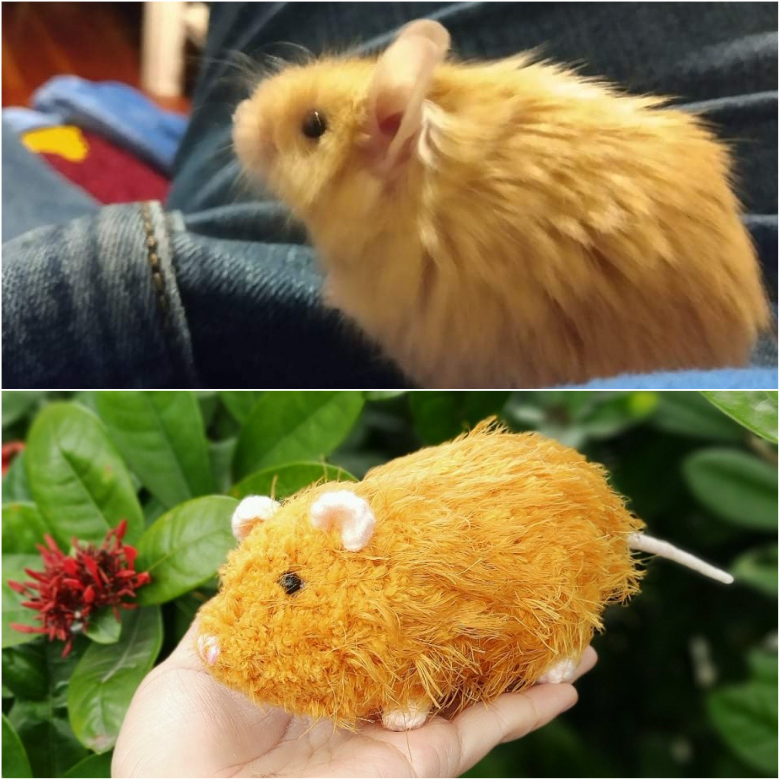 Custom Stuffed Animal Custom Pet Plush Custom Rabbit Plush - Etsy