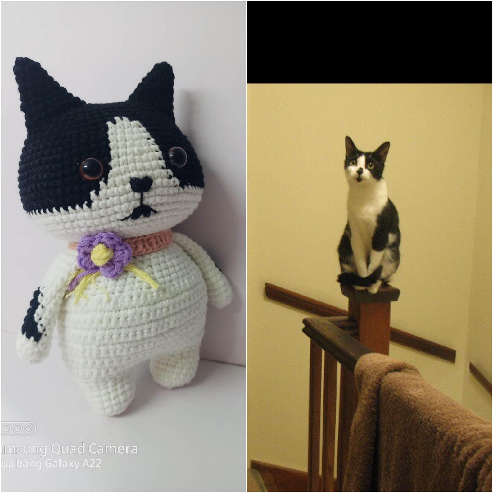 Custom Cat Plush Custom Stuffed Cat Cat Stuffed Animal - Etsy