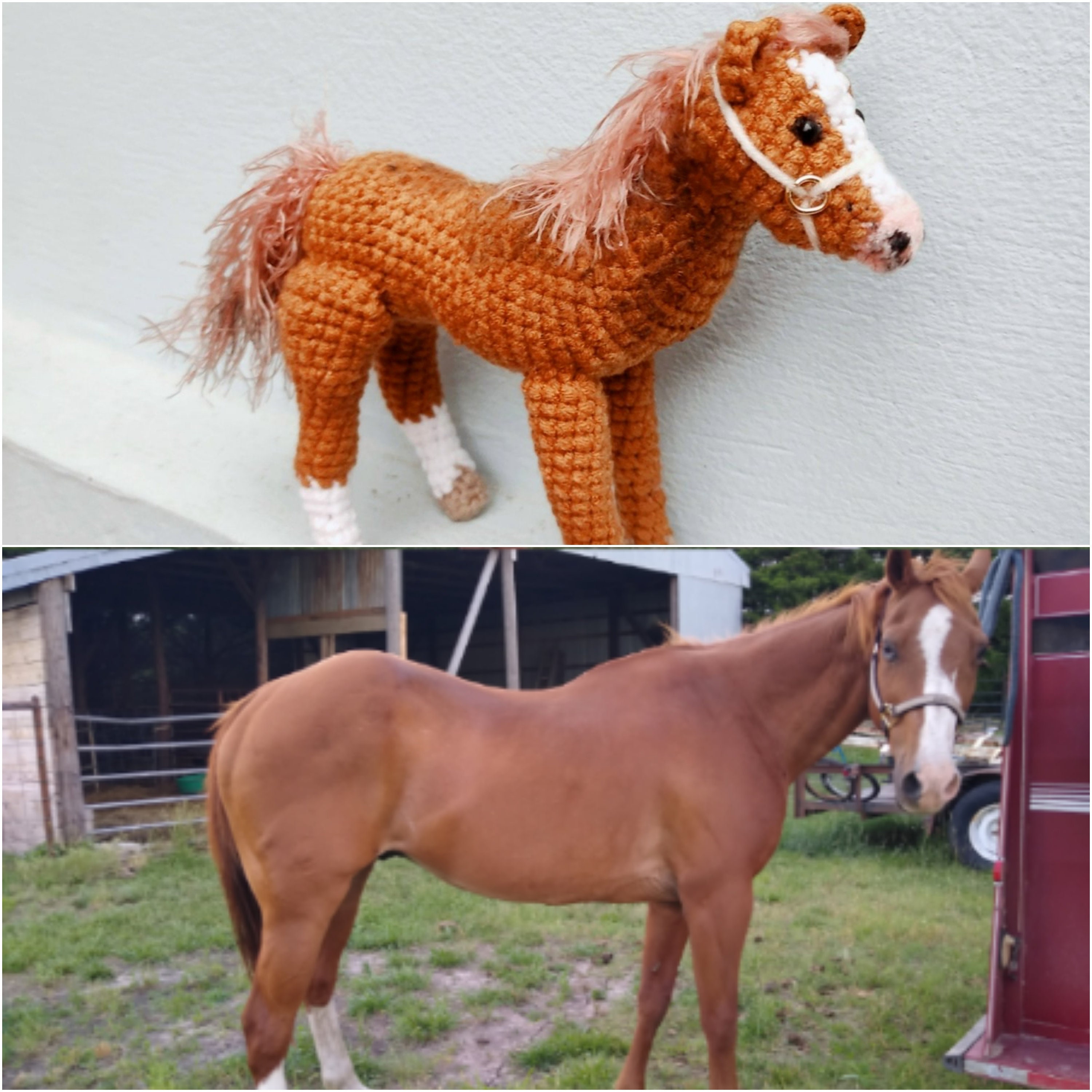 Custom Stuffed Animal Custom Pet Plush Custom Rabbit Plush - Etsy