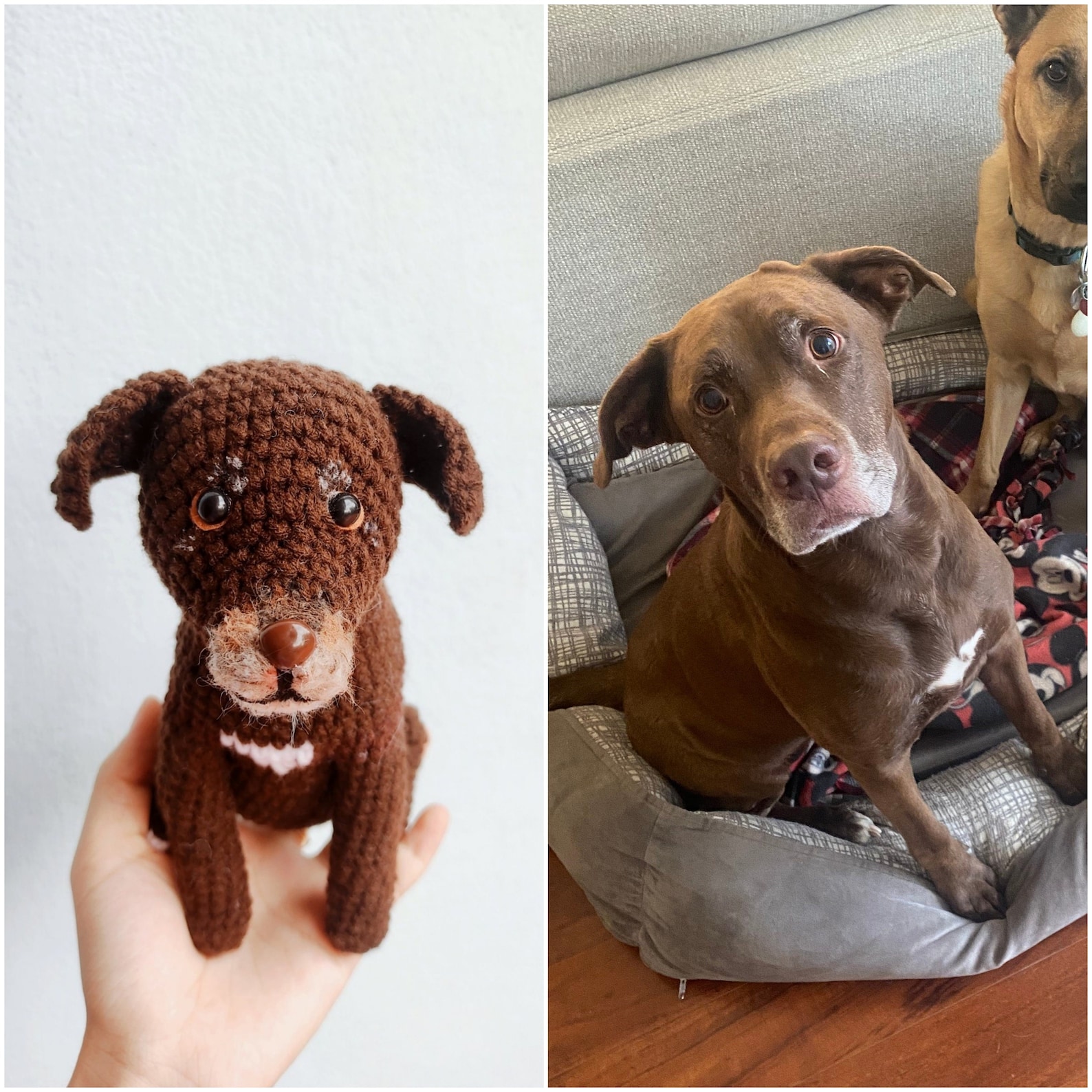 Custom Stuffed Dog Custom Dog Plush Custom Crochet Dog Dog - Etsy