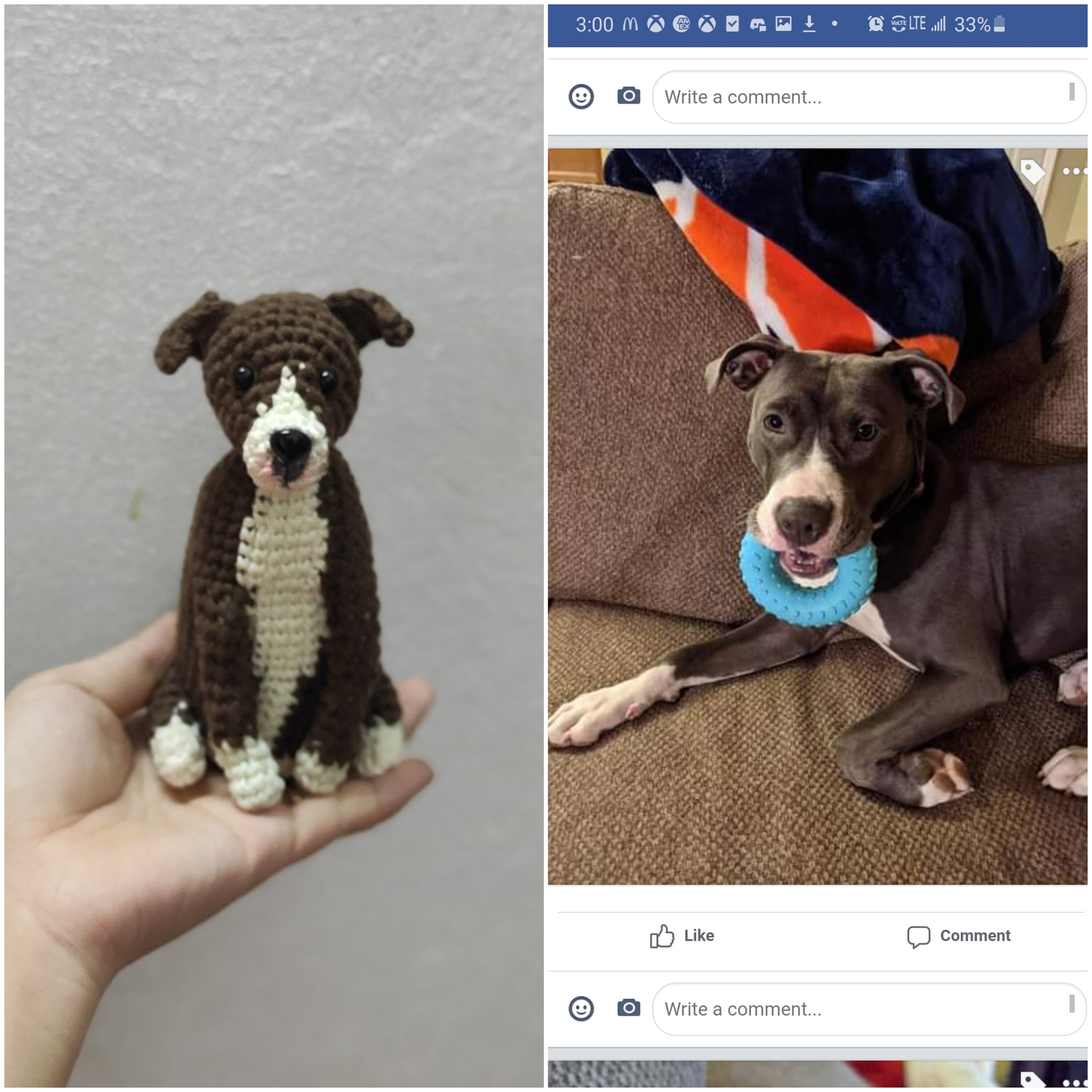 Custom Stuffed Dog Custom Dog Plush Personalized Pet Gift - Etsy Australia