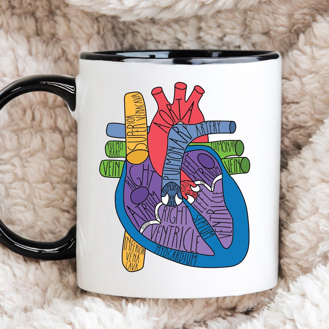 Anatomical Heart Mug - Colorful Heart Illustration - Heart Anatomy ...