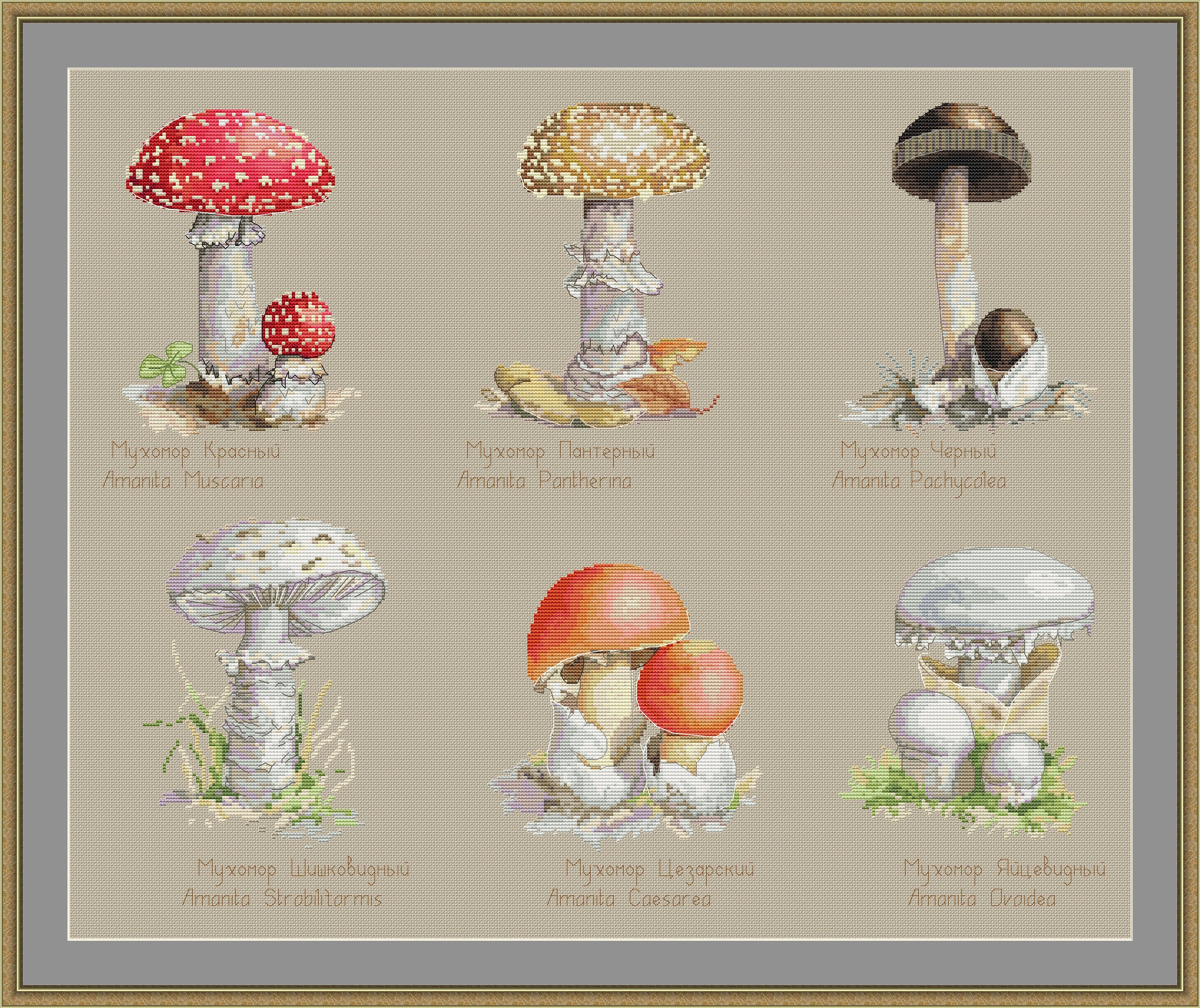 Mushroom Cross-stitch Pattern PDF Instant Download Amanita - Etsy