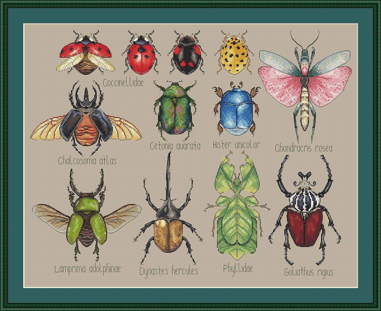 Beetles Cross Stitch Pdf Insects Cross Stitch Pattern Modern Cross ...