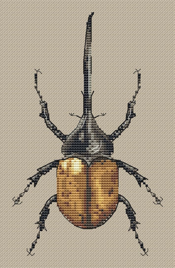 Beetles Cross Stitch Pdf Insects Cross Stitch Pattern Modern Cross ...