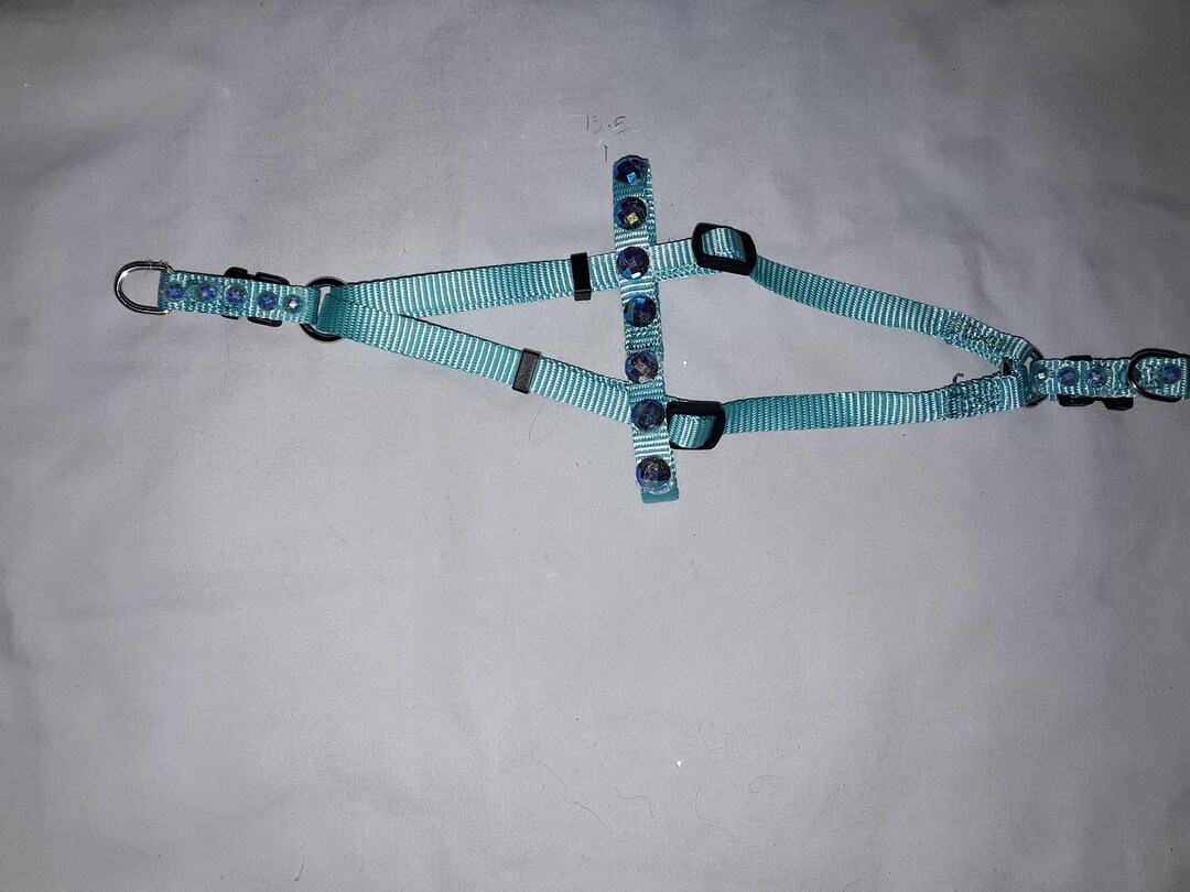 Blinged Out Harness - Etsy