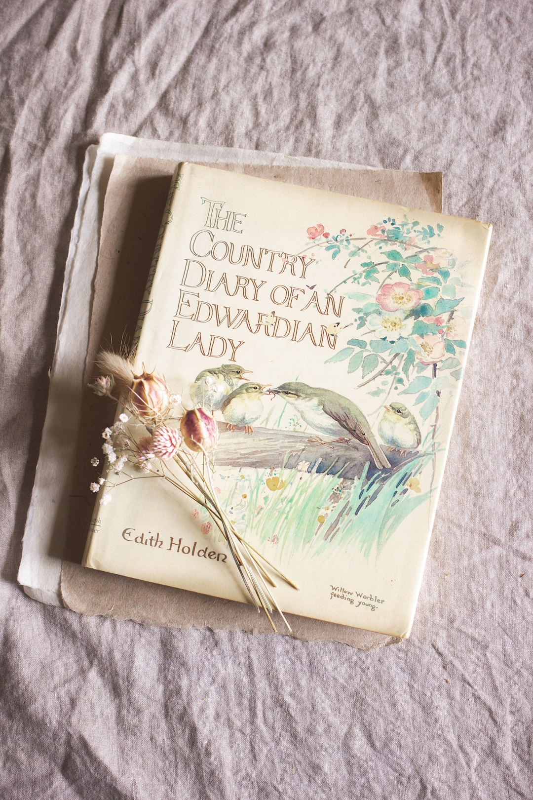 The Country Diary of an Edwardian Lady,edith Holden,vintage Book,nature ...